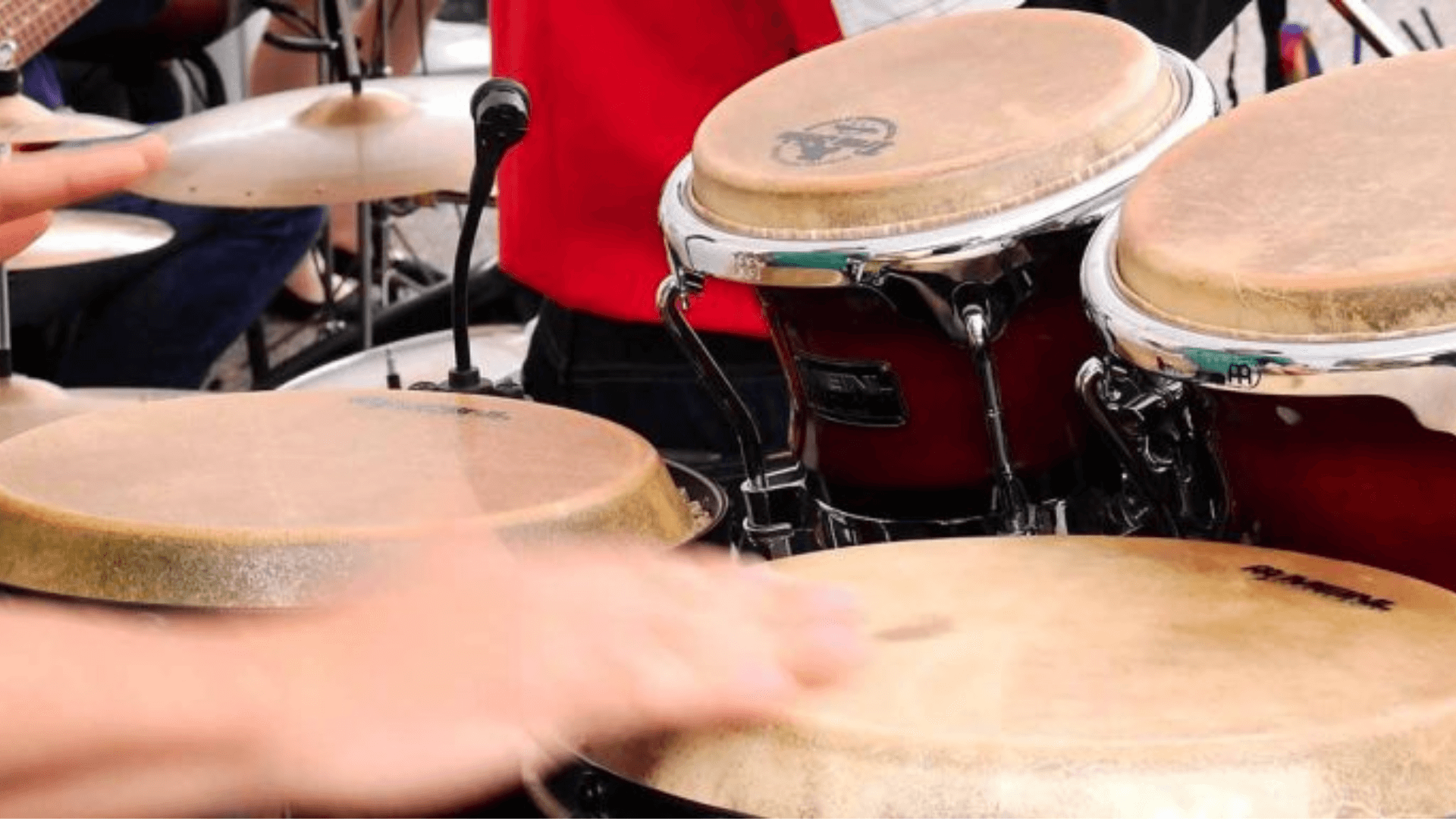 Los instrumentos de percusión - Música Es Vida